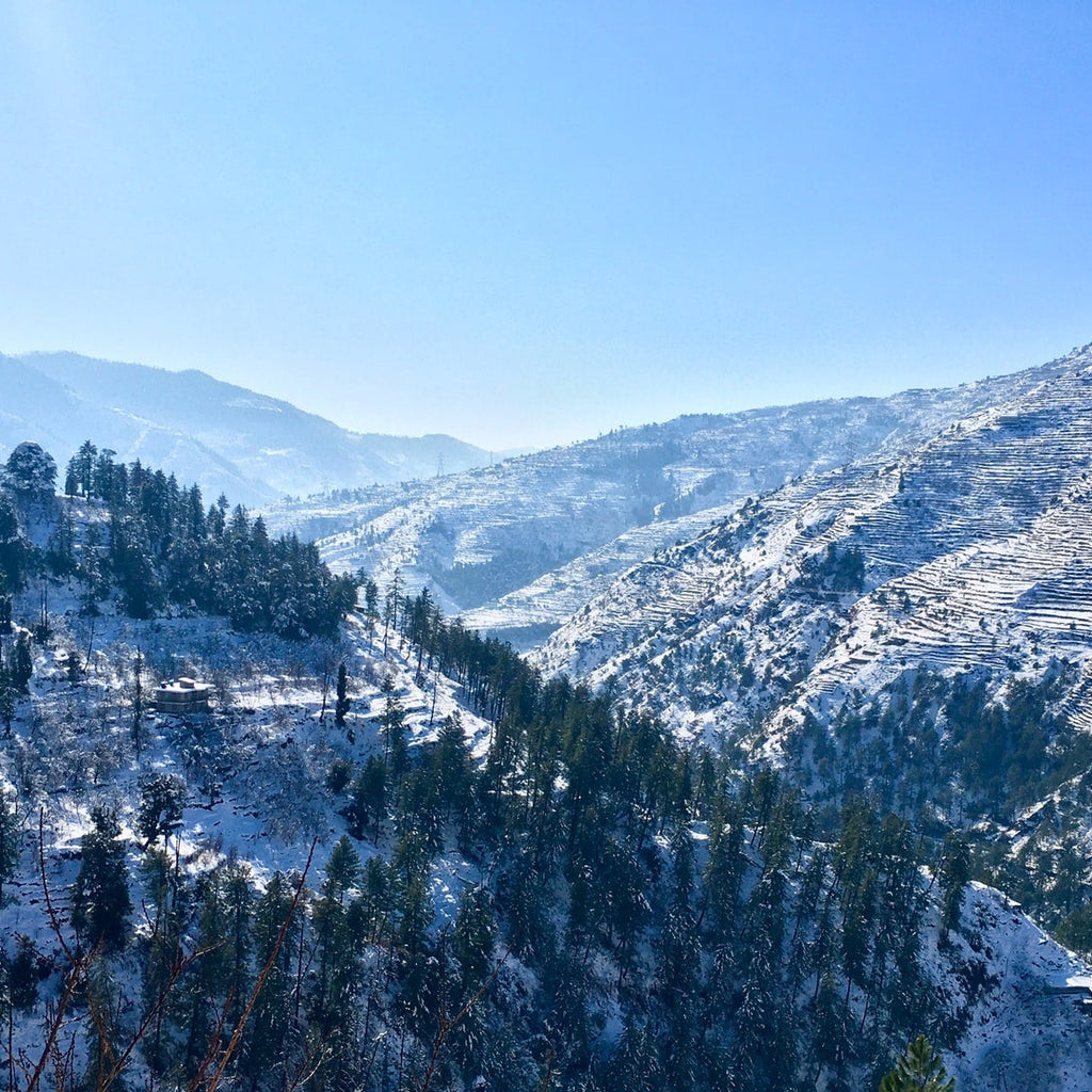 What to wear in Shimla in winter: A packing guide for beginners